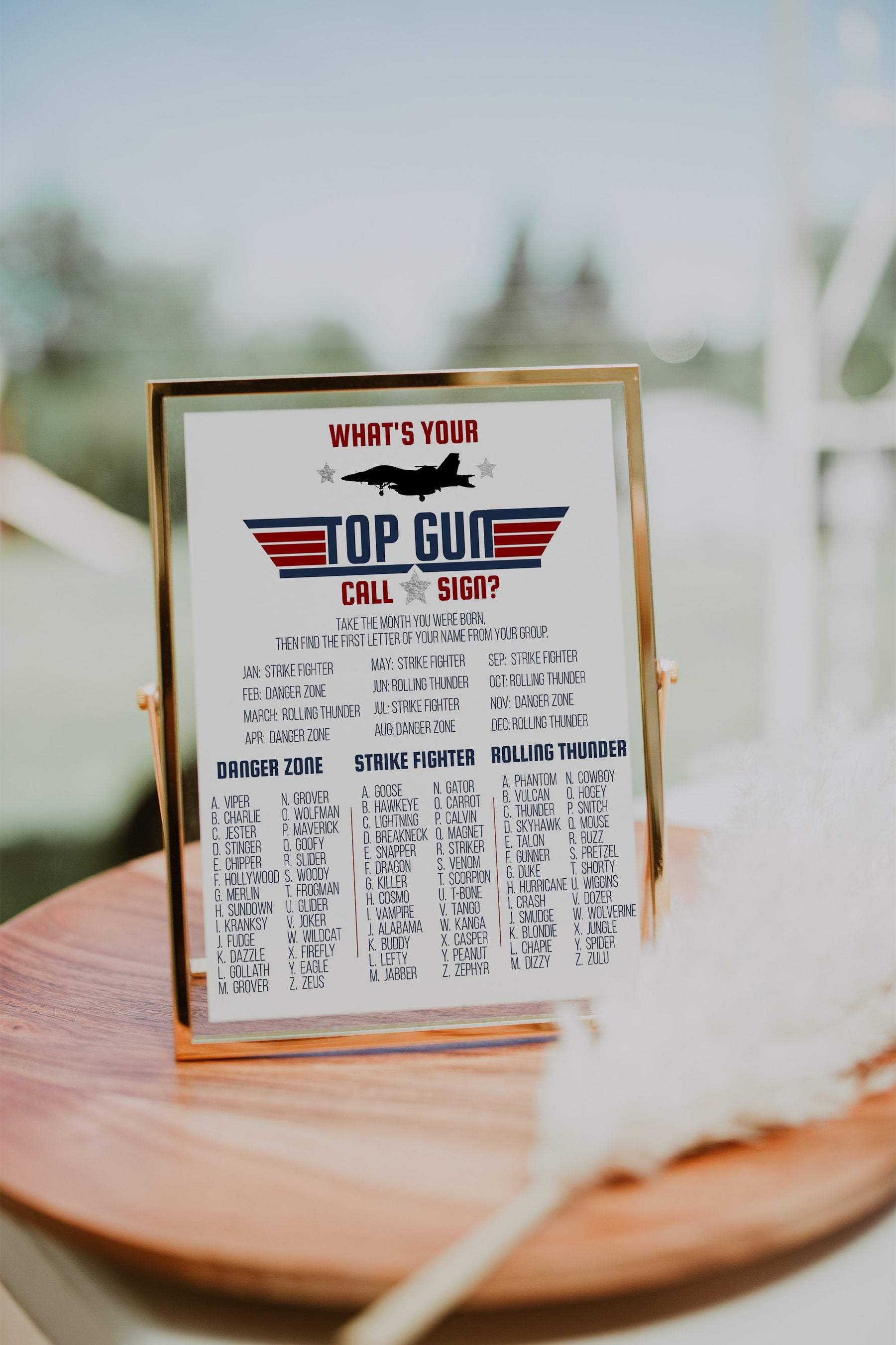 Top Gun Birthday Party Game - Whats Your Top Gun Call Sign Game - Figh ...